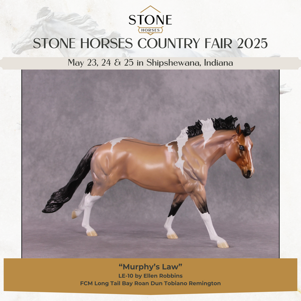 "Murphy's Law" LE-10 FCM Remington By Ellen Robbins SHCF25 Run - Stone ...