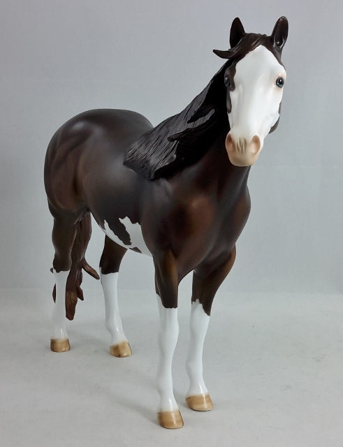 FREE "to Be Me" - Chestnut Overo Stock Horse - Stone Horses