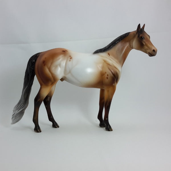 POPPY - Bay Varnish Roan Appaloosa 2015 Edition - Stone Horses