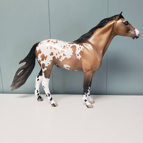 Mystique OOAK Buckskin Roan Appaloosa Mustang By Jess Hamill Val24 ...