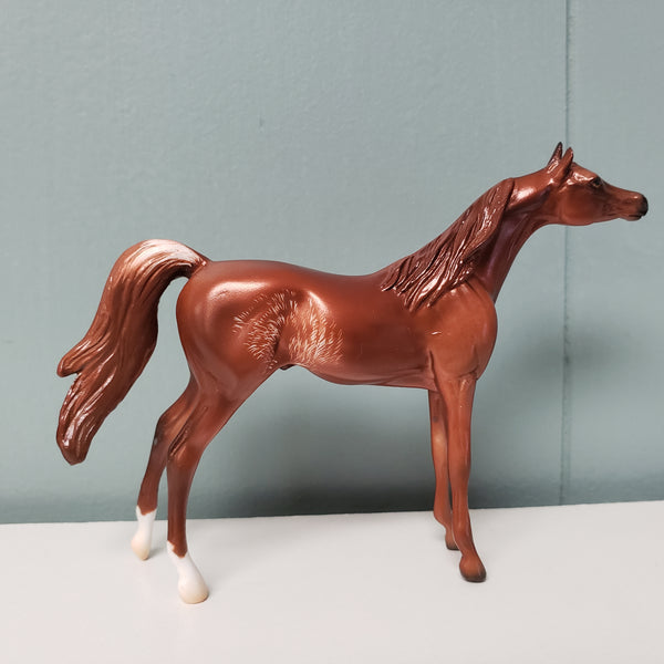 Ranger OOAK Chestnut Rabicano with Etching Arabian Chip By Jess Hamill ...