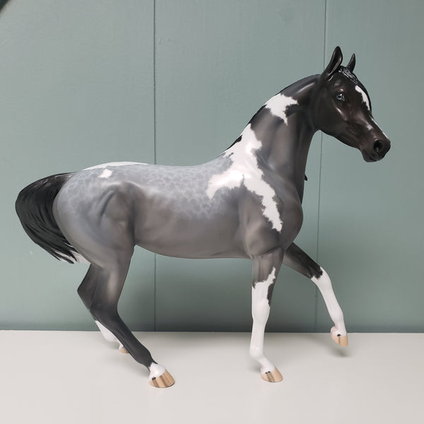 Radar Detected OOAK Loud Blue Roan Tobiano Custom Arab Mare By Ellen R ...