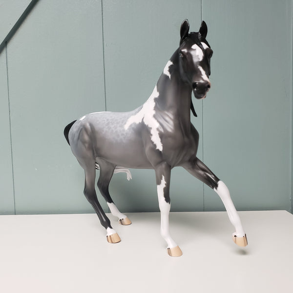Radar Detected OOAK Loud Blue Roan Tobiano Custom Arab Mare By Ellen R ...