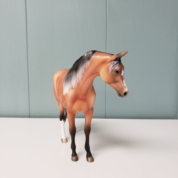 Grand Adventure OOAK Dappled Bay Going Grey Pebble Arabian Mare By Daw ...