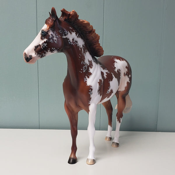 Henryk OOAK Frame Overo Custom ISH By Jess Hamill - Best Offer 5/7/24 ...