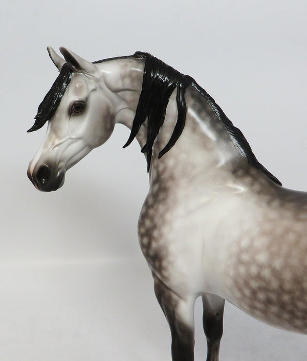 WORLD OF WONDER-OOAK STAR DAPPLE ROSE GREY ARABIAN MODEL HORSE BY SHER ...
