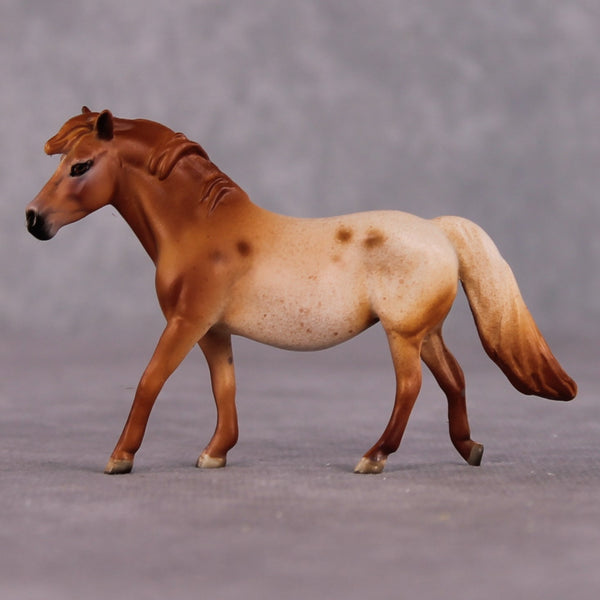 Bellis LE-6 Pony Chip by Dawn Quick FS25 - Stone Horses