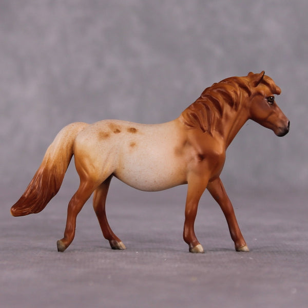 Bellis LE-6 Pony Chip by Dawn Quick FS25 - Stone Horses