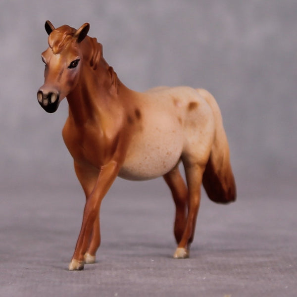 Bellis LE-6 Pony Chip by Dawn Quick FS25 - Stone Horses