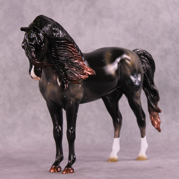 Algieba LE-10 EFCM Andalusian by Ashley Palmer 11/25/2025 SS1125 ...