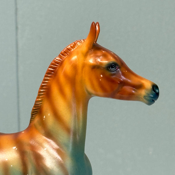 Akzidenz OOAK Deco Zebra Arab Foal By Jess Hamill EQ24 - Stone Horses
