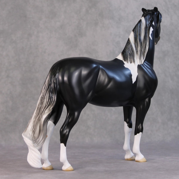 Amundsen OOAK Black Tobiano Custom Pinned Eared Morgan By Jess Hamill ...