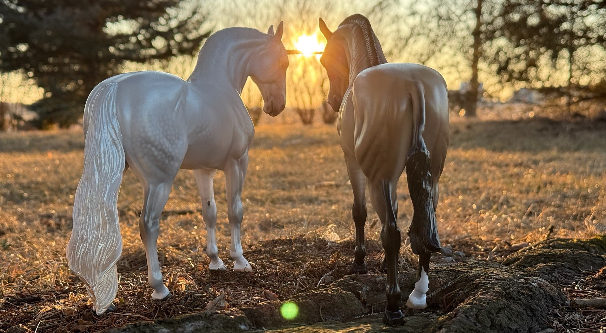 Stone Horses by Volo Artem