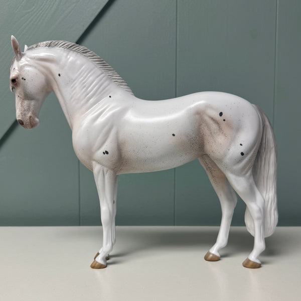 Satellite OOAK Few Spot Appaloosa Andalusian By Jess Hamill EQ24 ...