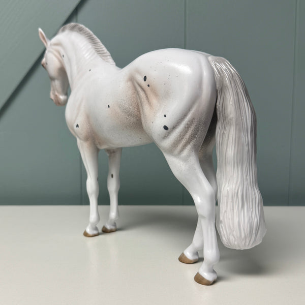 Satellite OOAK Few Spot Appaloosa Andalusian By Jess Hamill EQ24 ...