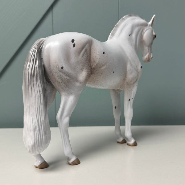 Satellite OOAK Few Spot Appaloosa Andalusian By Jess Hamill EQ24 ...