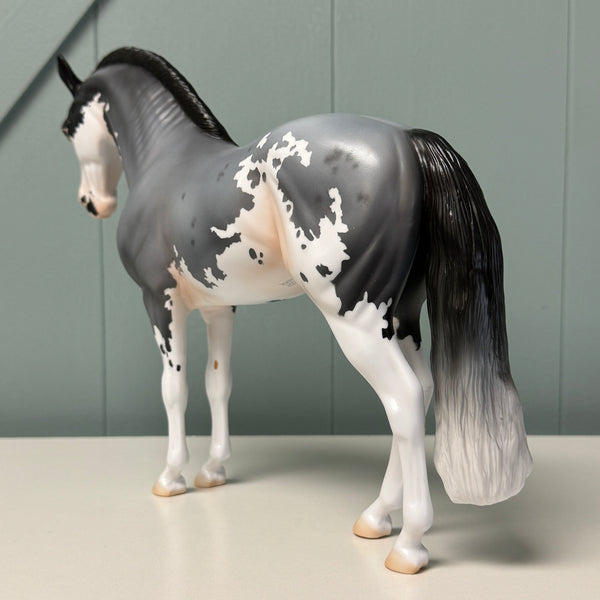 Observatory OOAK Blue Roan Sabino Andalusian By Jess Hamill EQ24 ...
