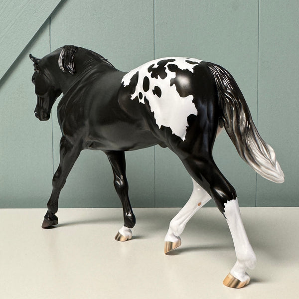 Extrasolar OOAK Black Appaloosa Irish Draught By Jess Hamill EQ24 ...
