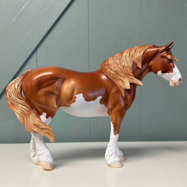 Cascade OOAK Chestnut Splash Custom Heavy Draft By Jess Hamill EQ24 ...