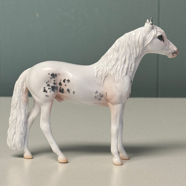 Misty Moonbeam OOAK Sabino Andalusian Chip By Jess Hamill EQ24 - Stone ...