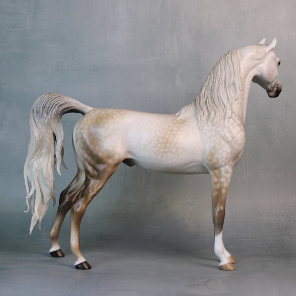 Golconda OOAK Custom Dappled Rose Grey Arabian Stallion Painted By She ...
