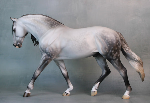 Aeolian OOAK Customized Dappled Grey Irish Draught By Jess Hamill Best ...