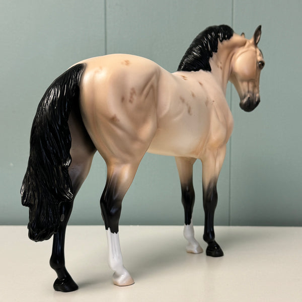 I Swear OOAK Buckskin Roan W/ Corn Spots Andalusian By Ellen Robbins E ...