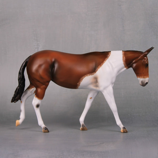 Calico OOAK Bay Pinto Pebble Mule By Jamie Adamson LHS24 - Stone Horses