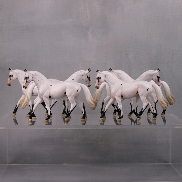 Ping LE-6 Leopard Appaloosa Warmblood Chip By Jess Hamill $99 Chips Sa ...