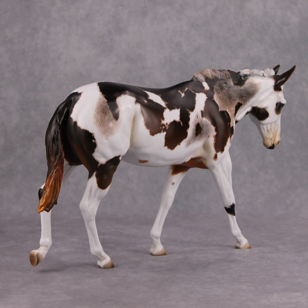 Snow on the Beach OOAK Bay Pinto with Roaning Custom Mule By Kristen C ...