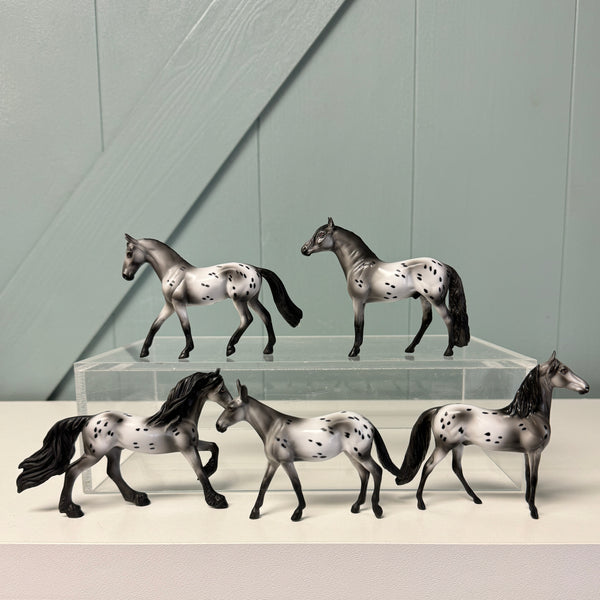 Poppy Seed Series LE-5 OOAK Black Appaloosa Chips By Dawn Quick and Ju ...