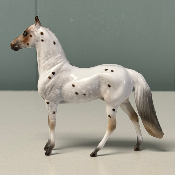 Cumin Series LE-5 OOAK Roan Leopard Appaloosa Chips By Dawn Quick and ...
