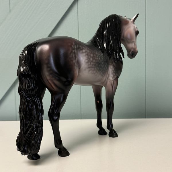 Navona OOAK Custom Dark Dappled Rose Grey Andalusian By Caroline Boyds ...