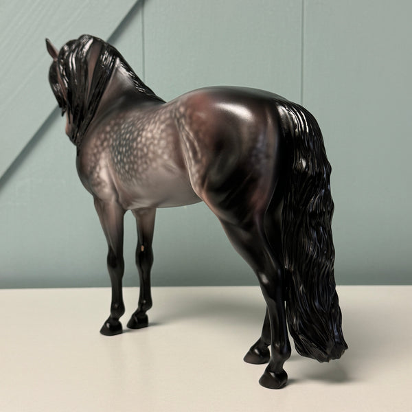 Navona OOAK Custom Dark Dappled Rose Grey Andalusian By Caroline Boyds ...