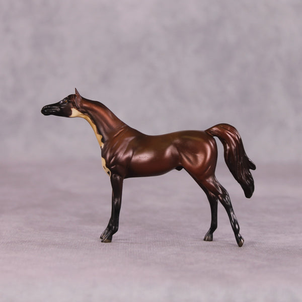 "Baum" LE-3 Arabian Chip by Jess Hamill - Menagerie Series - Stone Horses