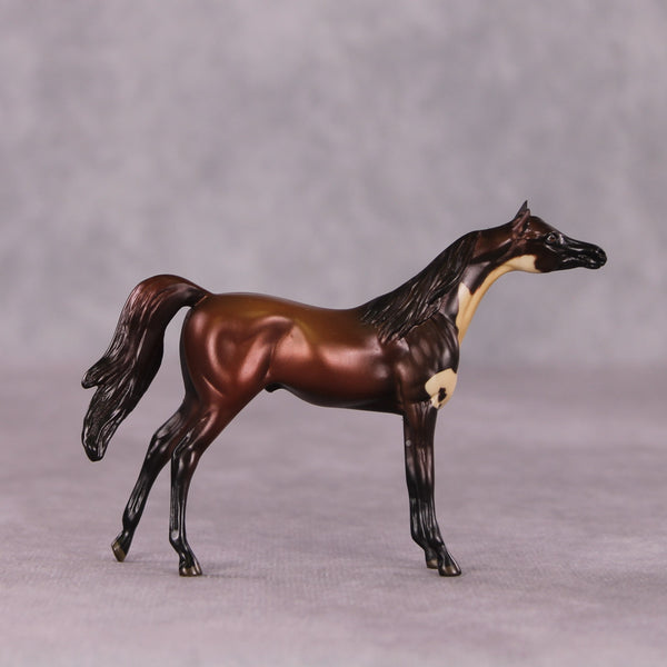 "Baum" LE-3 Arabian Chip by Jess Hamill - Menagerie Series - Stone Horses