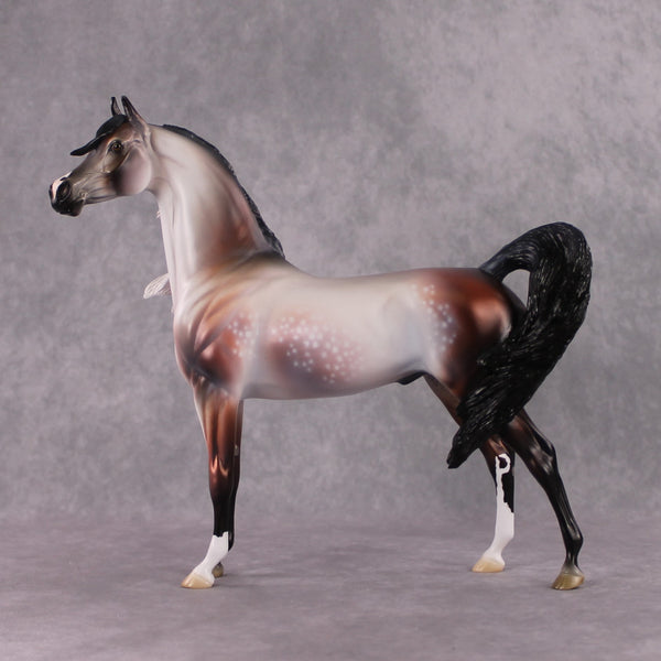 "Purgatorio" SAMPLE Star Dappled Rose Grey Arabian By Jess Hamill ...