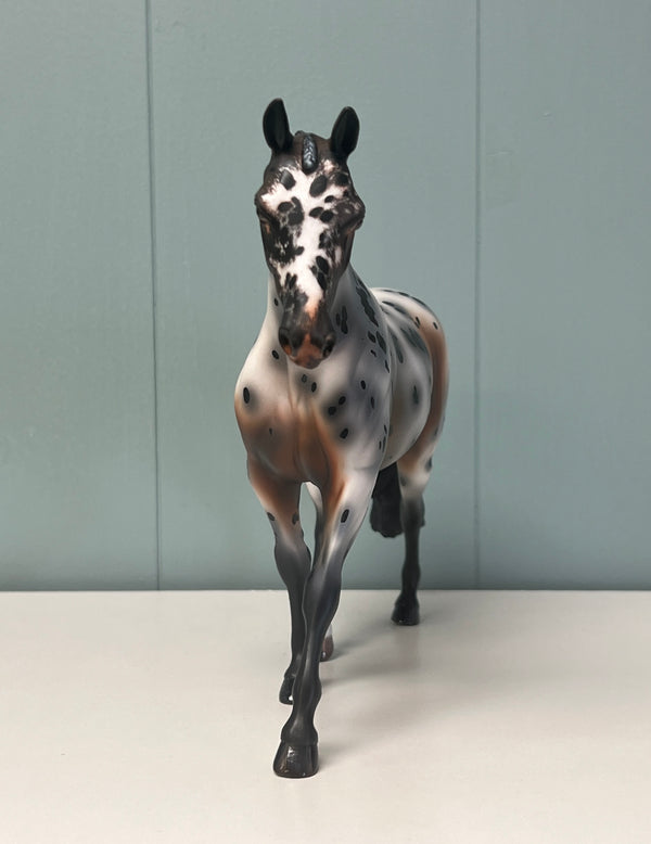 So Long London OOAK Bay Leopard Appaloosa Braided Pony By Kristen Cerm ...