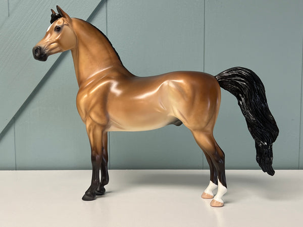 Upwey OOAK Buckskin Custom Moab Customized Morgan By Tiffany Purdy SHC ...