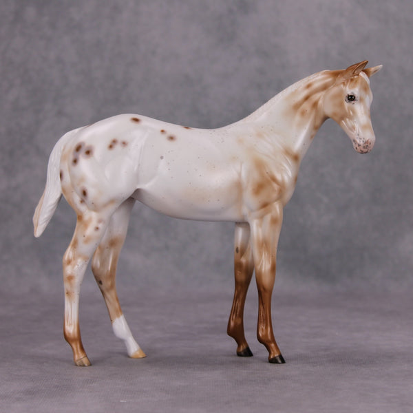 Pinch of Nutmeg OOAK Pearl Chestnut Leopard Appy Weanling By Ellen Rob ...