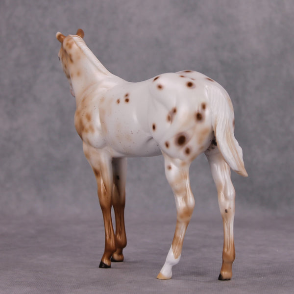 Pinch of Nutmeg OOAK Pearl Chestnut Leopard Appy Weanling By Ellen Rob ...