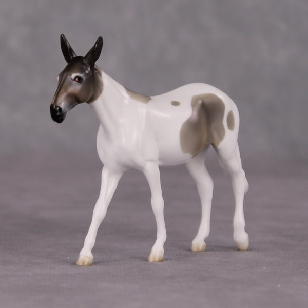 Pike LE-3 Dun Pinto Mule Chip By Jess Hamill Call of the Wild CL24 - A ...