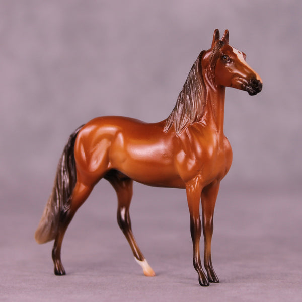 Chester OOAK Chip Morgan by Erika Isbell 11/25/2025 SS1125 - Stone Horses