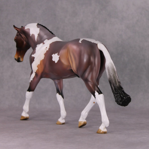 Damien OOAK Bay Roan Pinto Irish Draught By Angela Marleau HS24 - Stone ...
