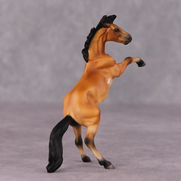 "Fang" OOAK Rearing Chip By Maggie Jenner-Bennett - Stone Horses