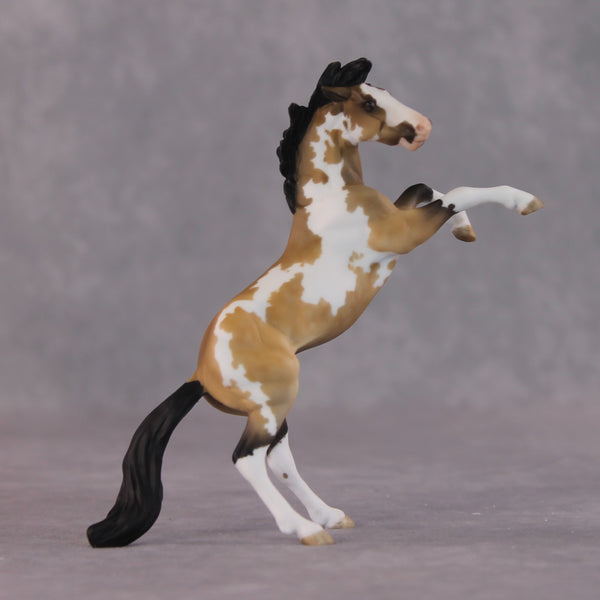 "Frenchie" OOAK Rearing Chip By Maggie Jenner-Bennett - Stone Horses