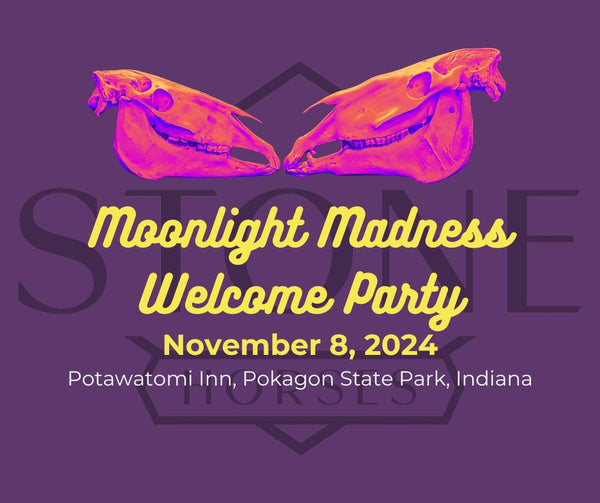 Moonlight Madness Welcome Party - Stone Horses