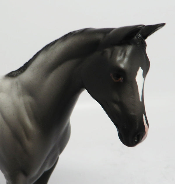 CLOUDS IN THE SKY-LE-3 BLUE ROAN WEANLING MODEL HORSE EQ 2017 - Stone ...