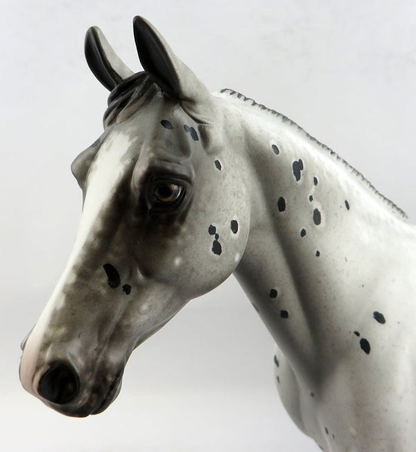 LADY TALULLAH-OOAK BLACK APPALOOSA PALOUSE MARE MODEL HORSE BY SHERYL ...