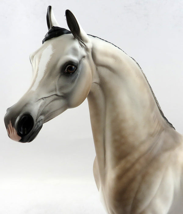 SIR MAVERICK-OOAK BAY GOING GREY ARABIAN MODEL HORSE BY SHERYL LEISURE ...